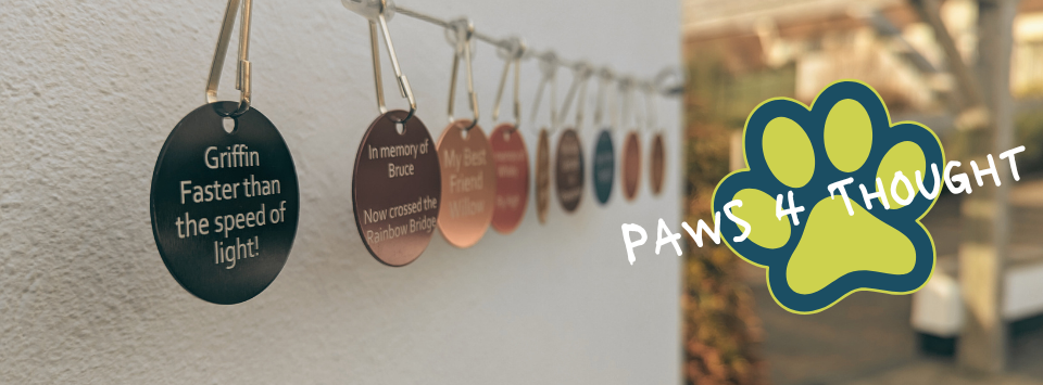 Paws 4 Thought | Sight Matters