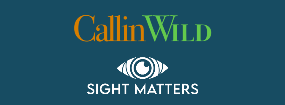 Will Writing Month 2023 | Sight Matters